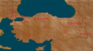 Turkish-females-Y-DNA-haplogroups – Find True Love